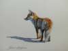 SWLA Original Artwork Draw | Society of Wildlife Artists